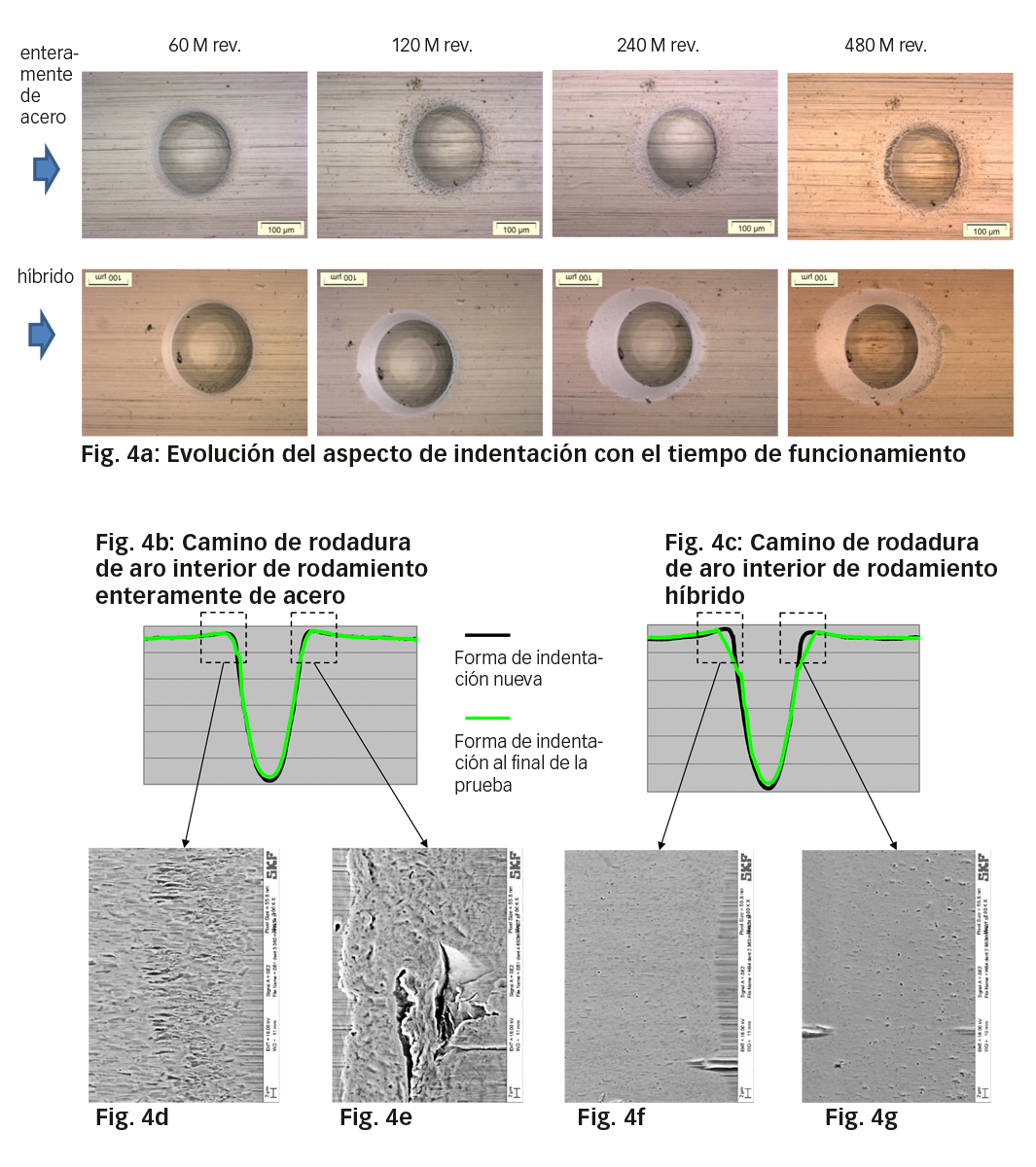 »祝福的人híbridos条件紧迫 - 金博宝188备用